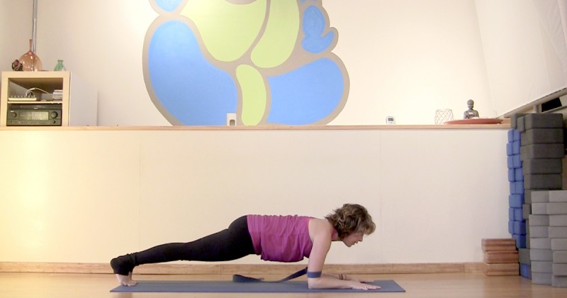 Dolphin Plank Pose | Yogis Anonymous